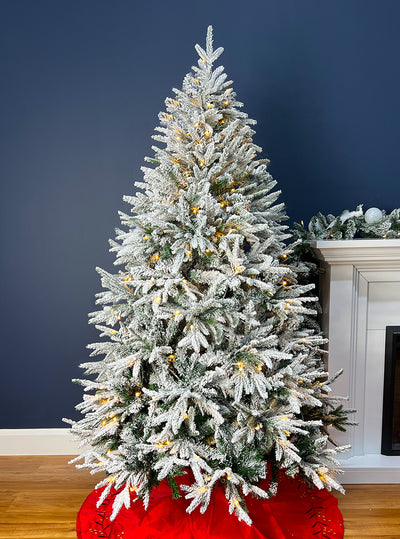 Christmas Trees Australia - Great Range - Shop Online